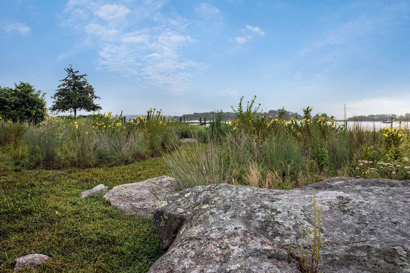 Beauty Restored: Landscape Creations Expands a Shining Coastal Meadow ...